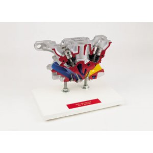 Audi cylinder head with 5 valves